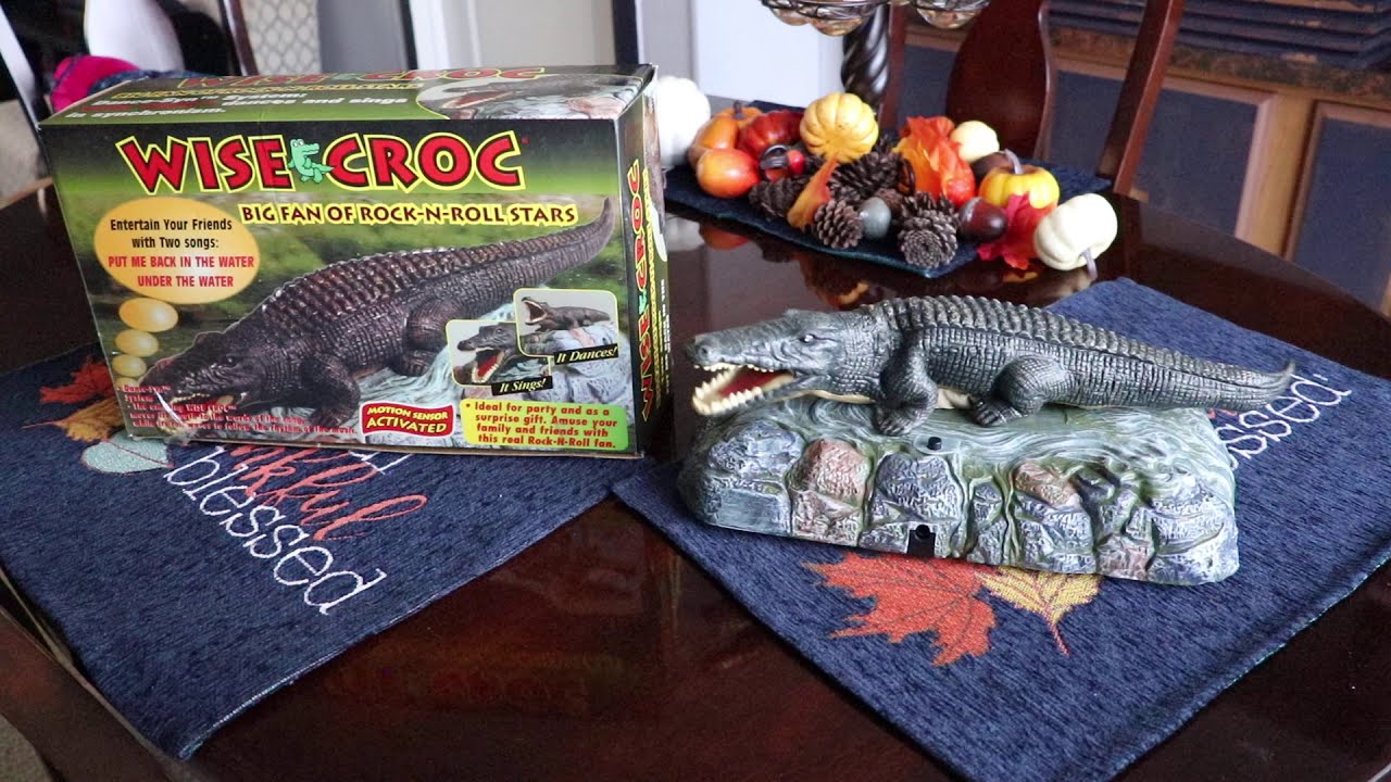 Wise Croc Singing Crocodile - YouTube