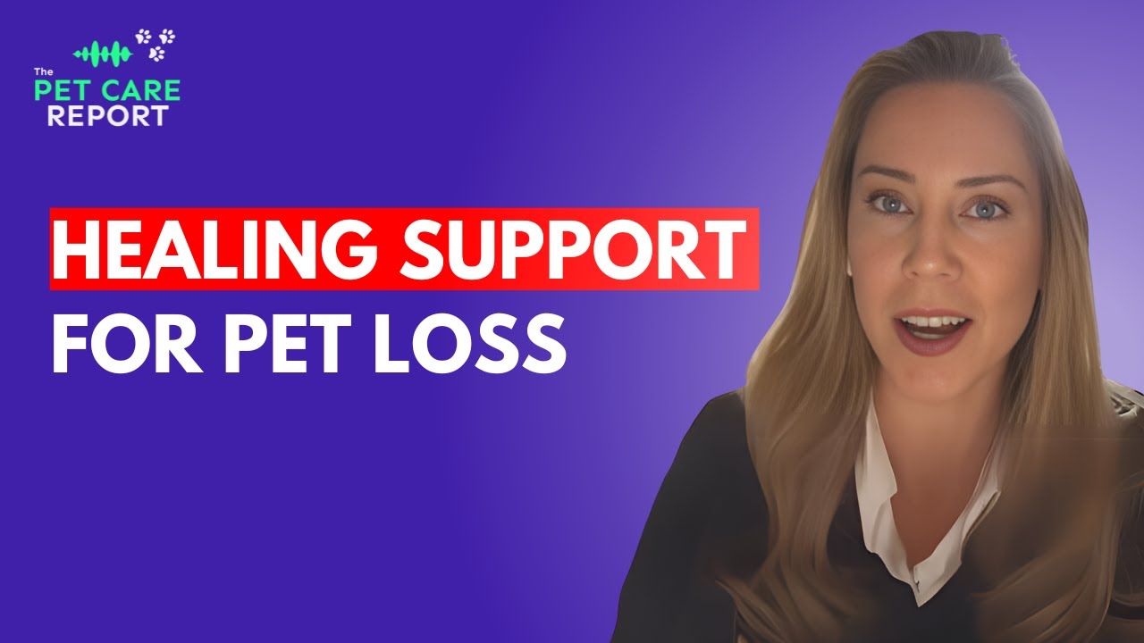 Navigating Dog Loss and Grief Support for Owners - YouTube