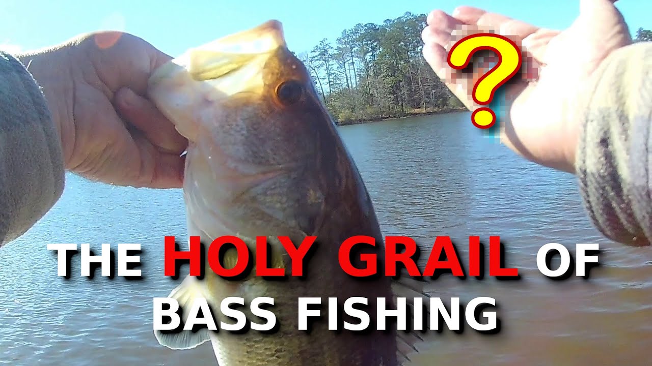 The MAGIC Fish Catching Lure You've Always Wanted!!!! - YouTube