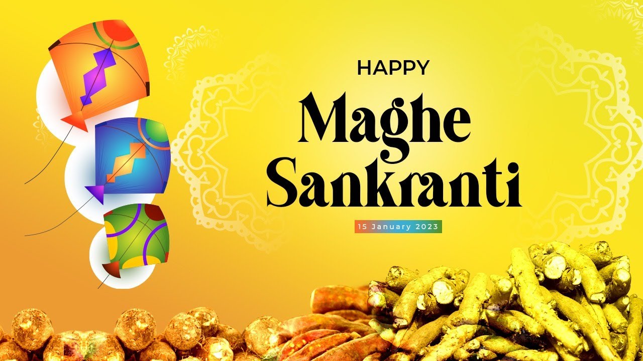 Makar Sankranti: 2023 | Different Types of Cassava (Tarul) Found in ...