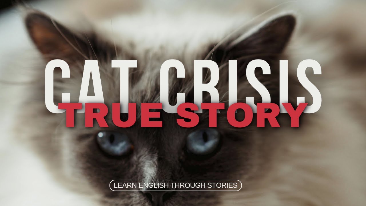 Cat Crisis - Learn English with True Stories - YouTube