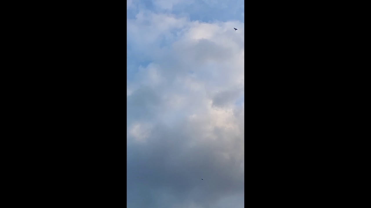 bird time lapse 960fps mi 9T - YouTube