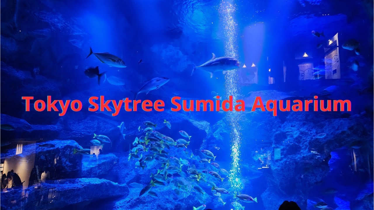 Tokyo Skytree Sumida Aquarium - YouTube