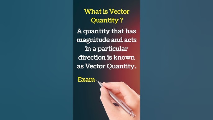 Vector Quantity Definition What Is Scalar & Vector Quantity | Motion