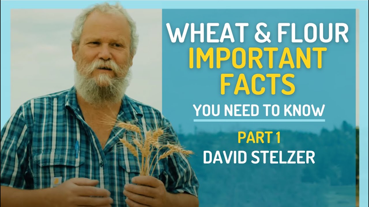 Wheat & Flour - Important Facts You Need to Know: A Masterclass with ...