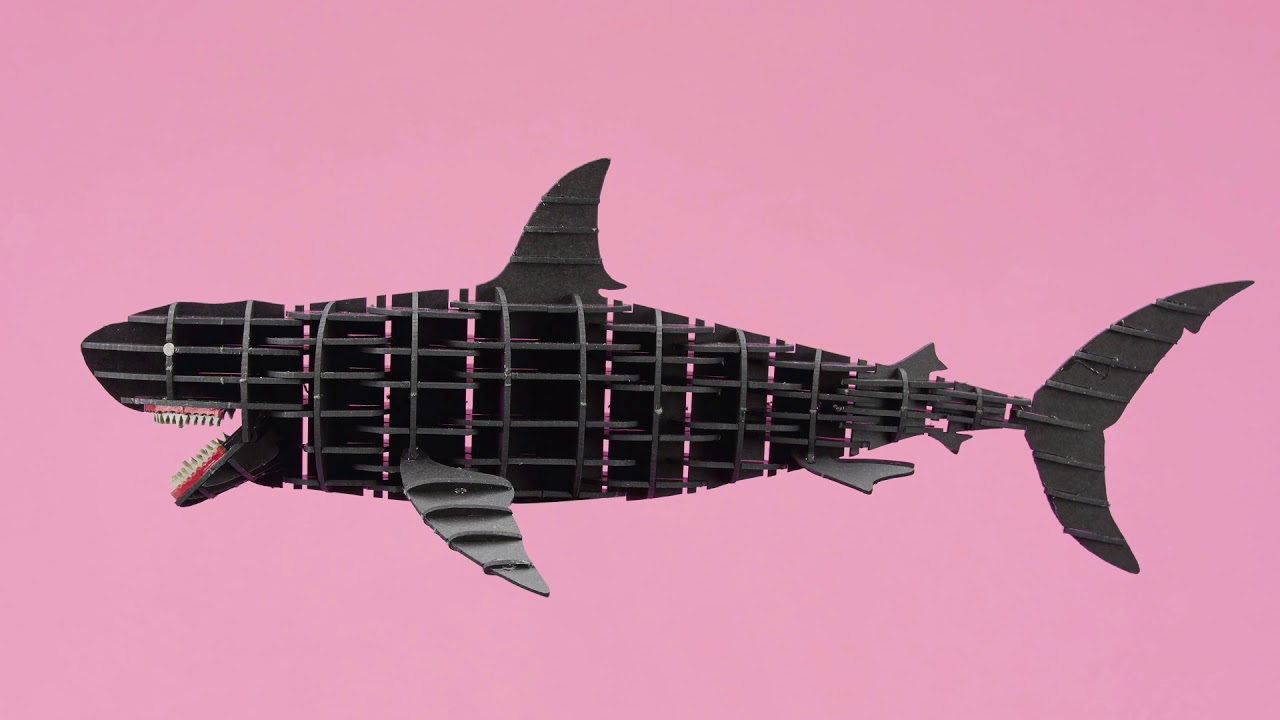 MOVE SHARK movie1080 - YouTube