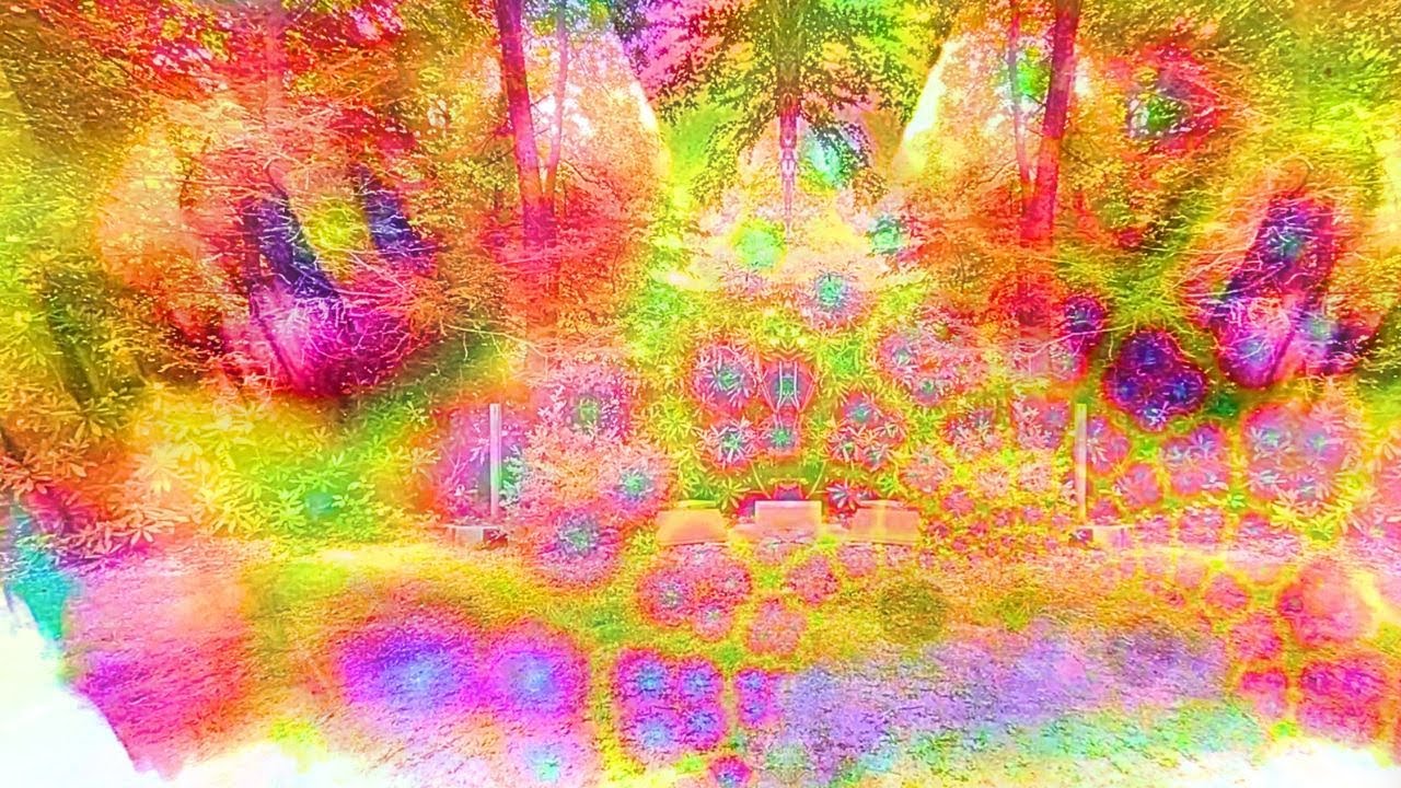 SALVIA Trip Simulation - YouTube