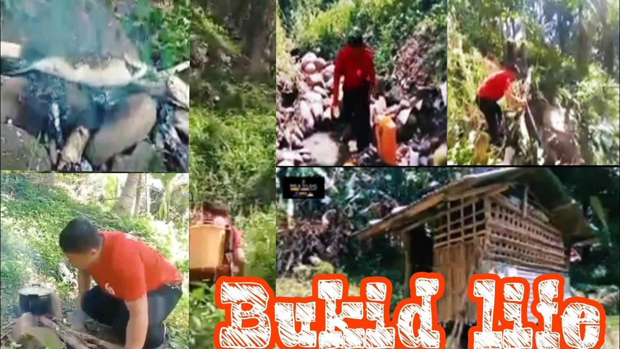 KINABUHI SA BUKID (Bukid life) #bukidlife - YouTube