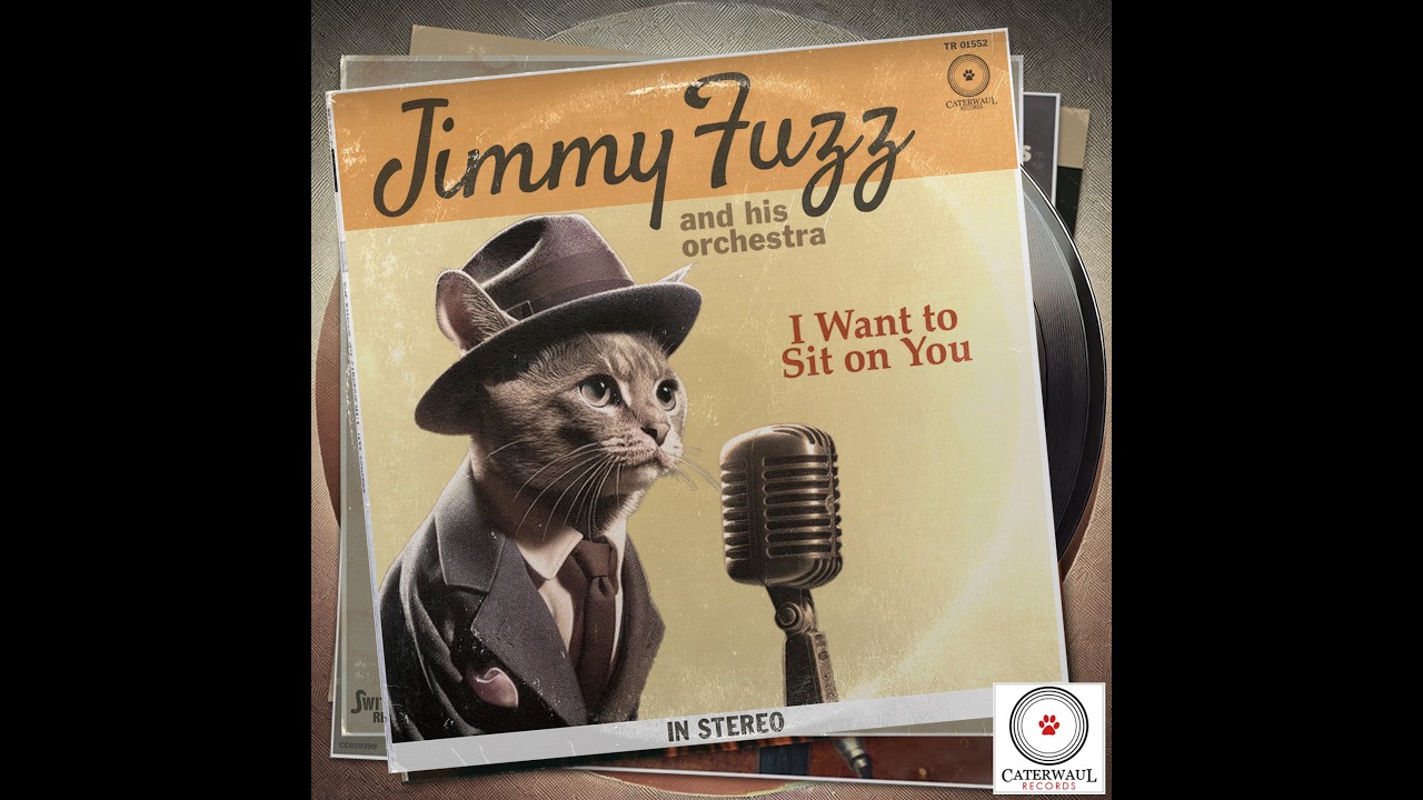 I Want To Sit On You - Jimmy Fuzz | Cat song, big band crooner parody ...