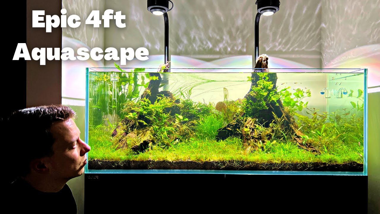 Step by Step Aquascape in a Custom Made 4ft Tank! - YouTube