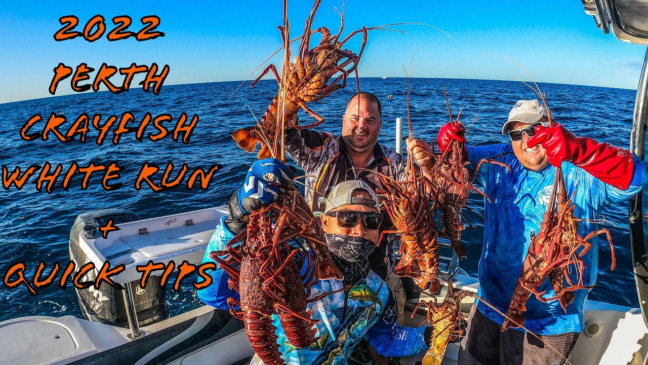 Perth Crayfish White Run 2022 and our best moments | Western Rock ...