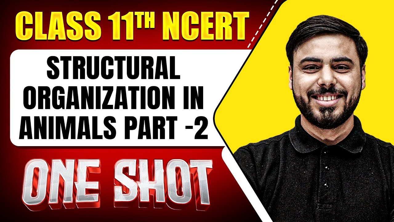 STRUCTURAL ORGANIZATION IN ANIMALS PART-2 in 1 Shot | FULL Chapter ...
