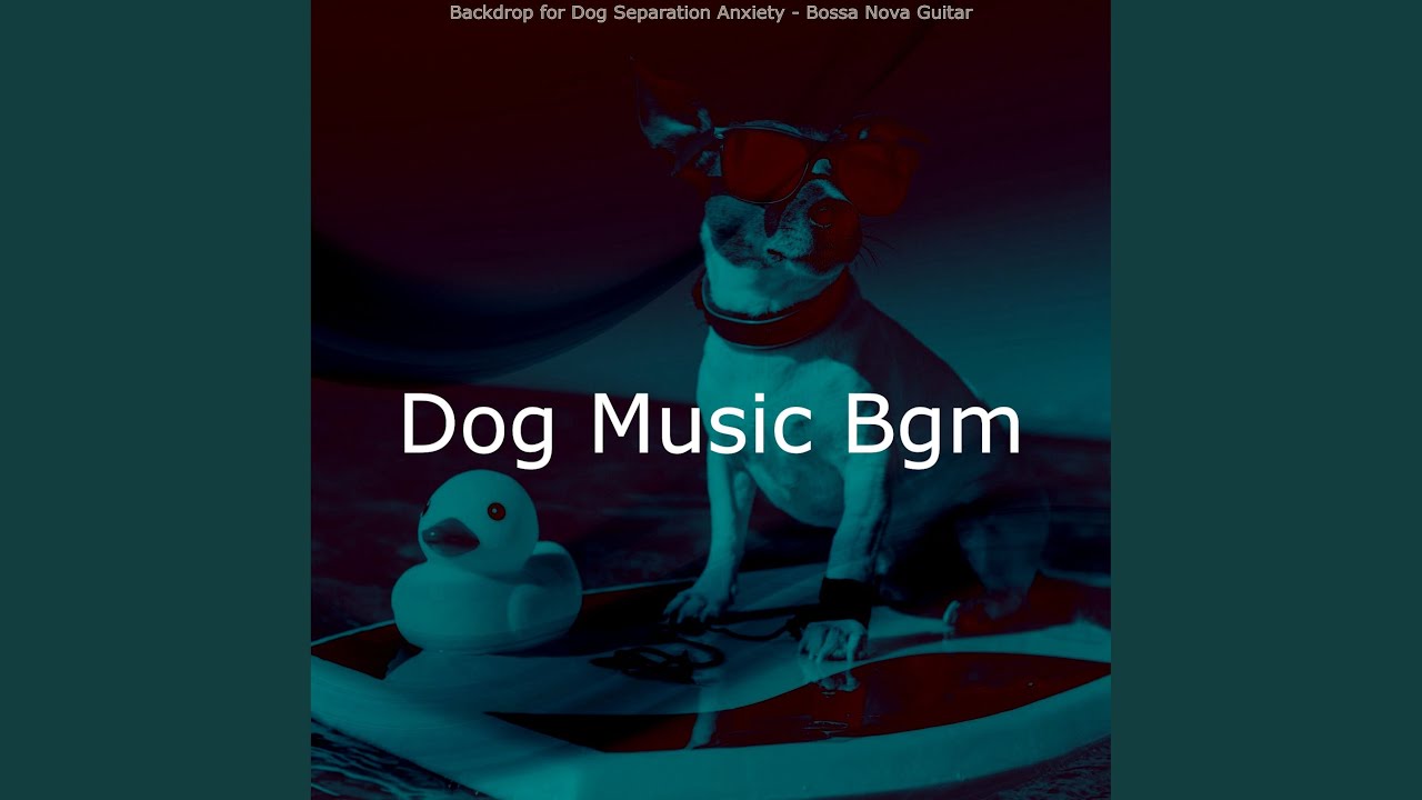 Simple Moods for Dog Walking - YouTube
