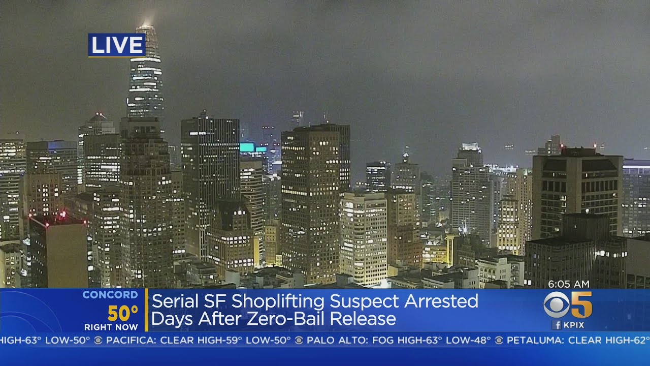 Back In Jail: 'Prolific' San Francisco Retail Theft Suspect Back In ...