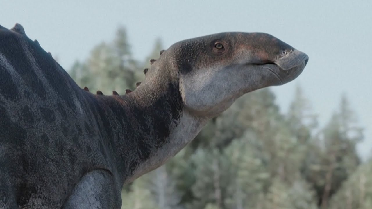 Scientists discover duck billed dinosaur lived in Chile 72 million ...