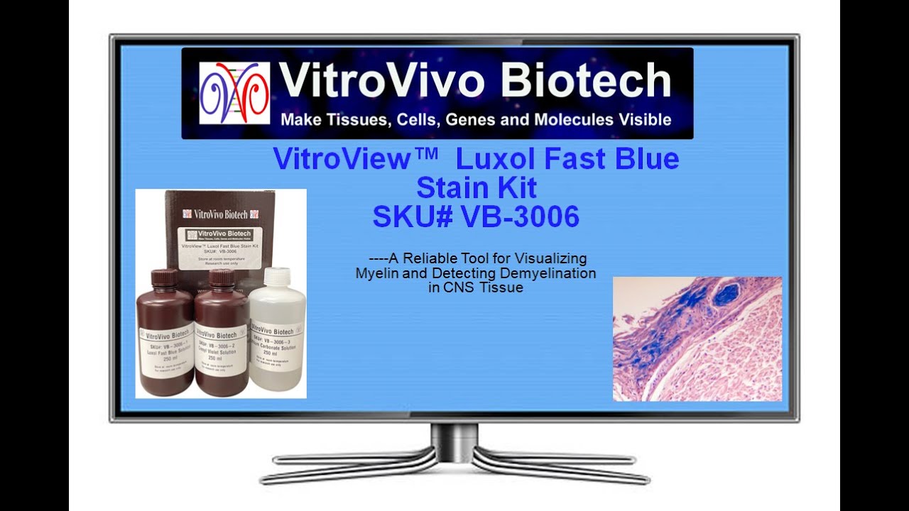 VitroView™ Oil Red O Stain Kit and Protocol Video - YouTube