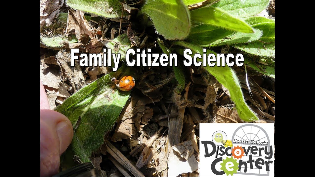 Family Citizen Science with Trevor Hance - YouTube