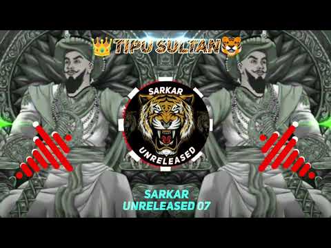 Tipu Sultan maharaja ka divanay DJ songs 😎👌💚