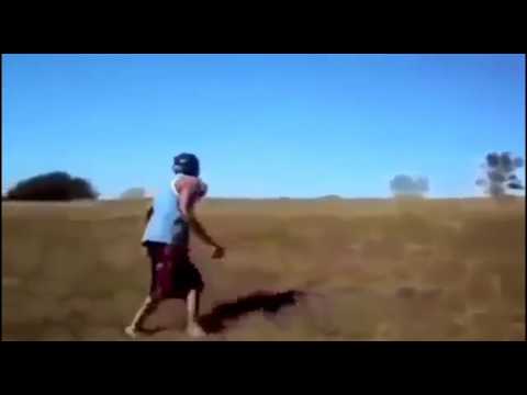 BICHO PIRULETA CAINDO NO CASOS DE FAMÍLIA