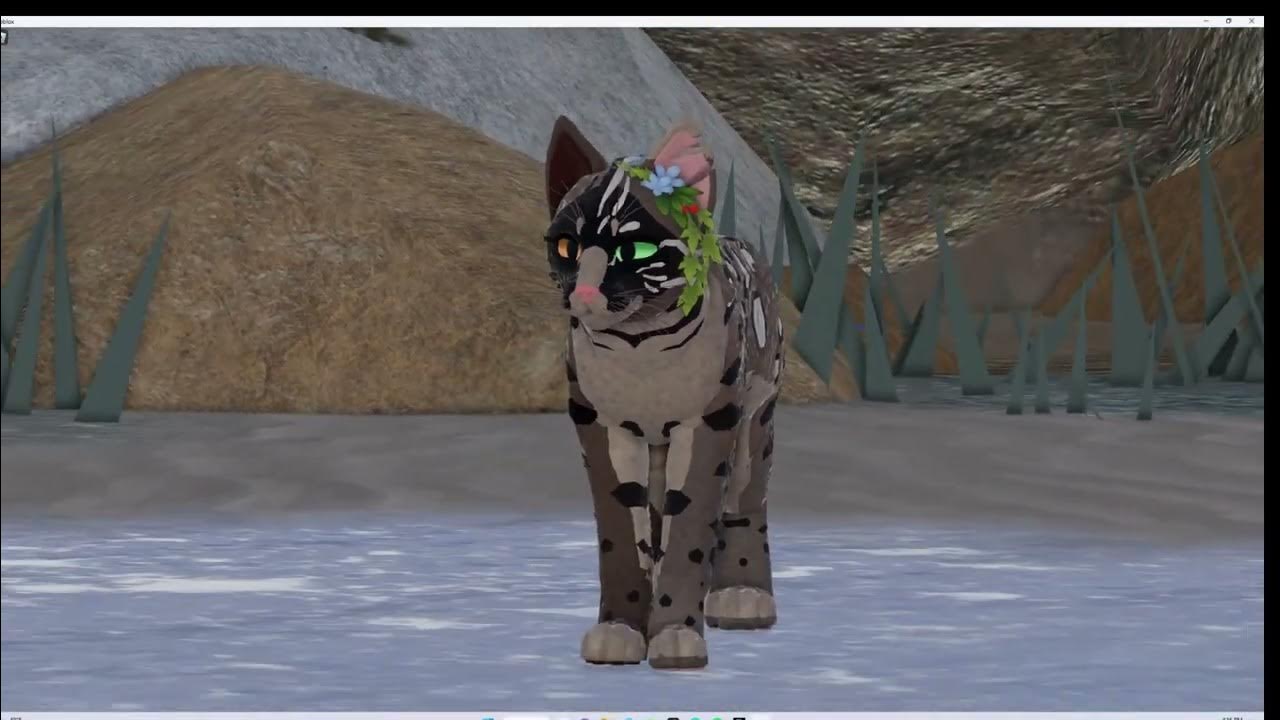 Random Morph Generator Wcue Youtube