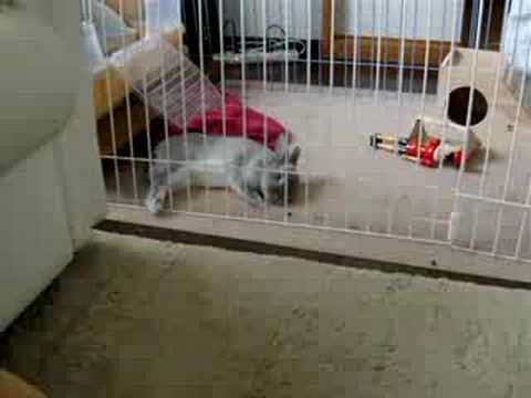 sleepy-syrup - YouTube