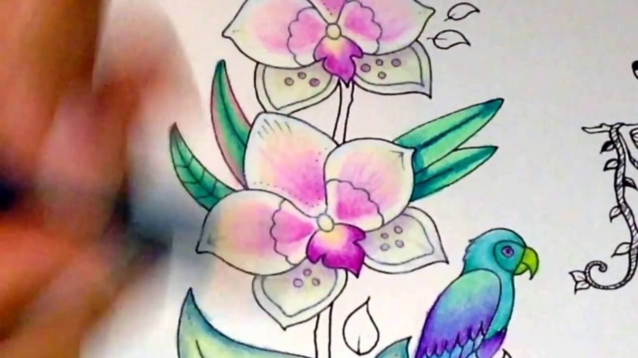 Magical Jungle Part 4 of Page 1 - YouTube