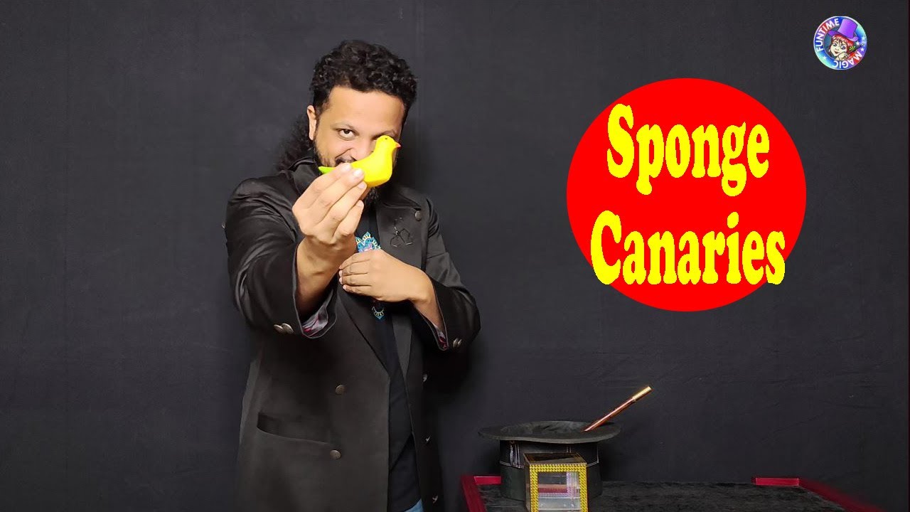 Sponge Canaries - YouTube