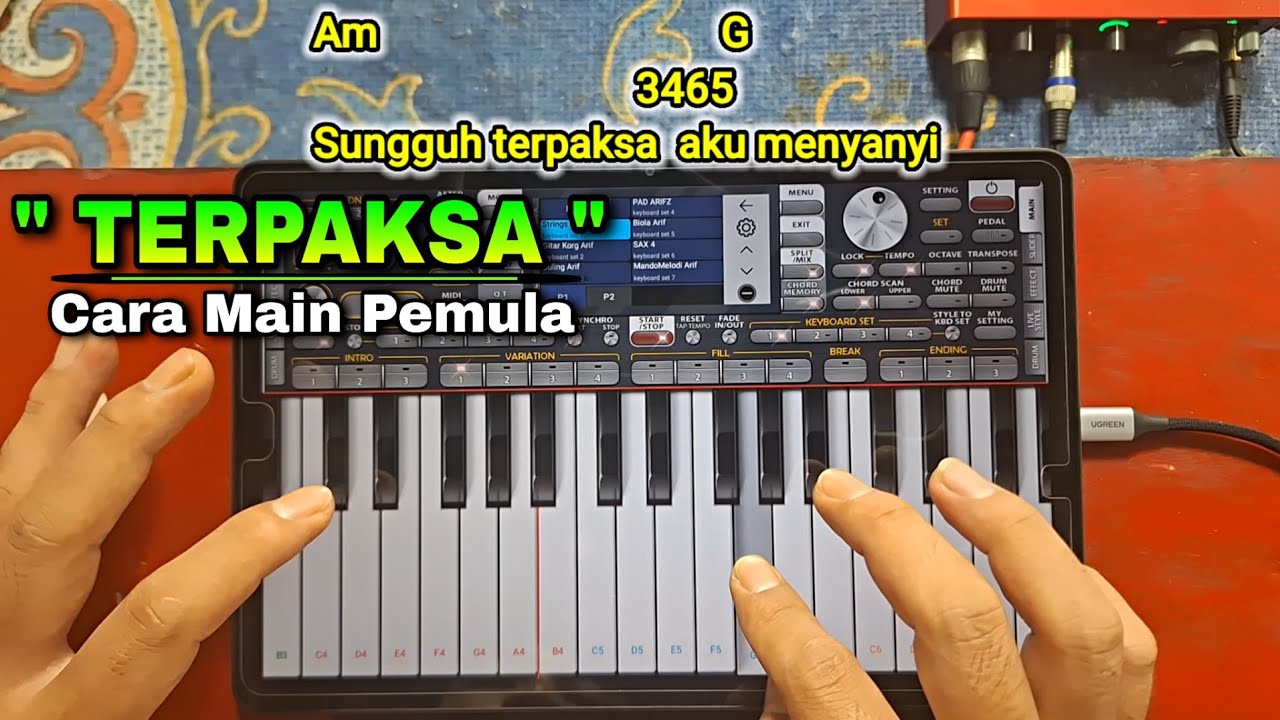 Mudah Buat Pemula | TERPAKSA Tutorial Not & Chord LENGKAP - YouTube