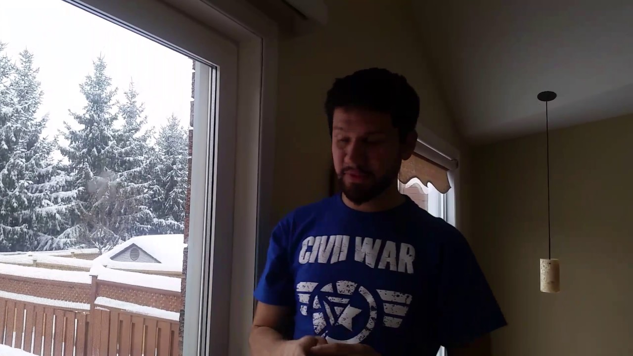 25 centimeters of snow today in Ottawa. Dec 12, 2016 - YouTube