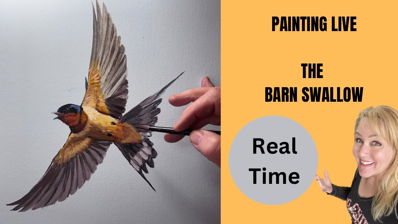 PAINTING A BARN SWALLOW IN FLIGHT WITH ACRYLICS- Suzane Barrett Justis ...