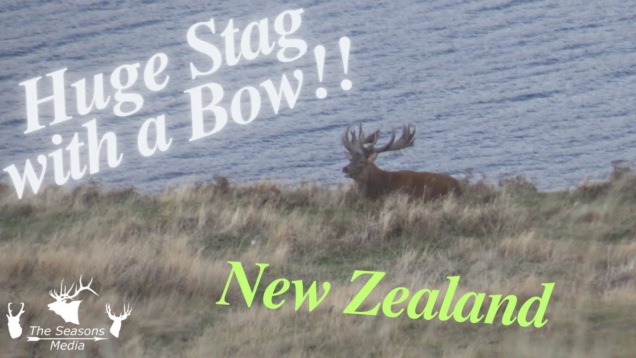 Monster Red Stag with a Bow | New Zealand | Chasing Huge Stags with a ...