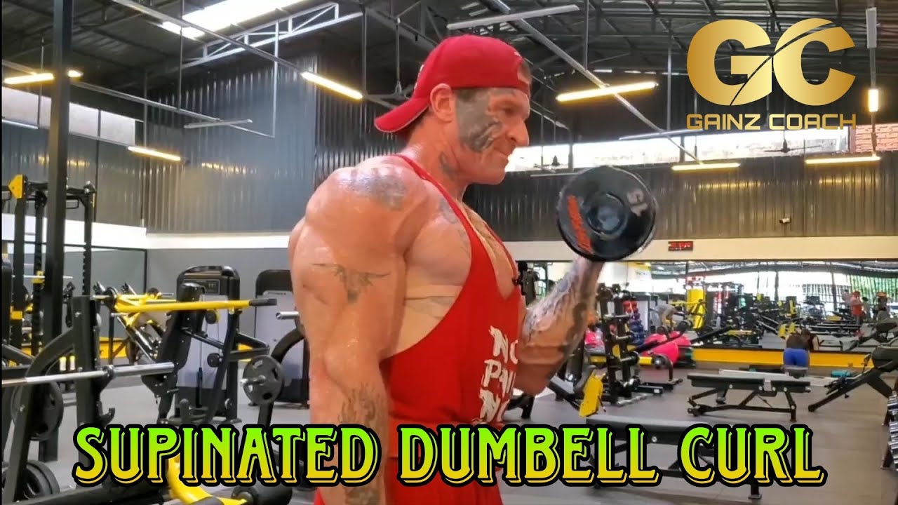 EXERCISE INDEX - SUPINATED DUMBELL CURL - YouTube