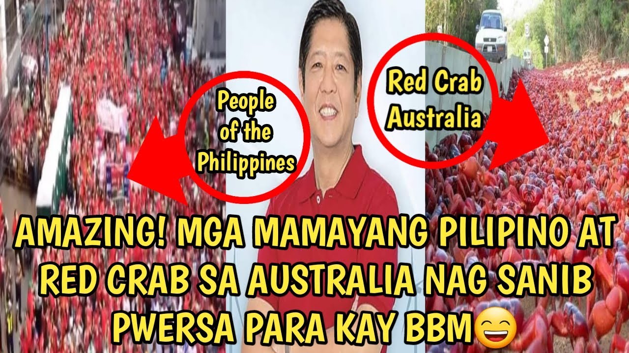 RED CRAB SA AUSTRALIA AT MAMAYANG PILIPINO NAG SANIB PWERSA! SOLID BBM SUPPORTERS! - YouTube