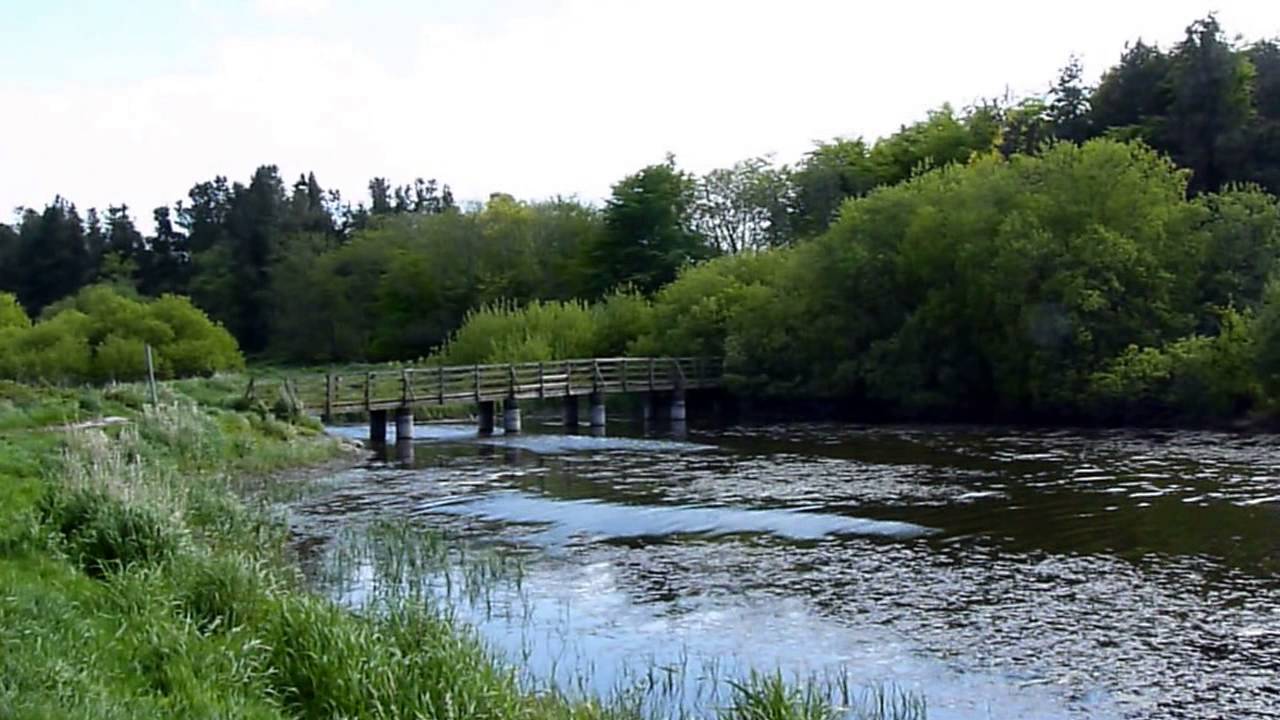 Walk Around Portavoe Reservoir - YouTube