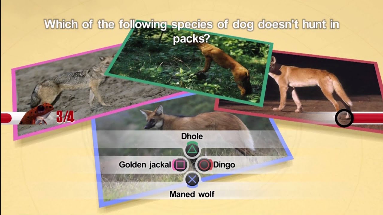 NatGeo Wildlife Challenge [HD 1080p] Dangerous Dogs - YouTube