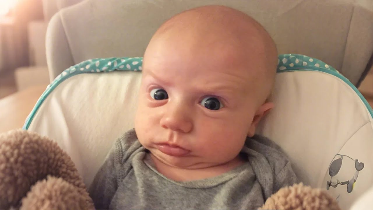Try Not to Laugh at These Adorable and Funny Baby Fails - YouTube