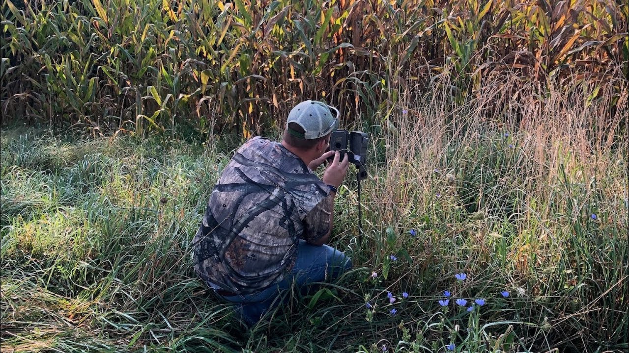 POOR MAN FOOD PLOT IN 7 STEPS - YouTube