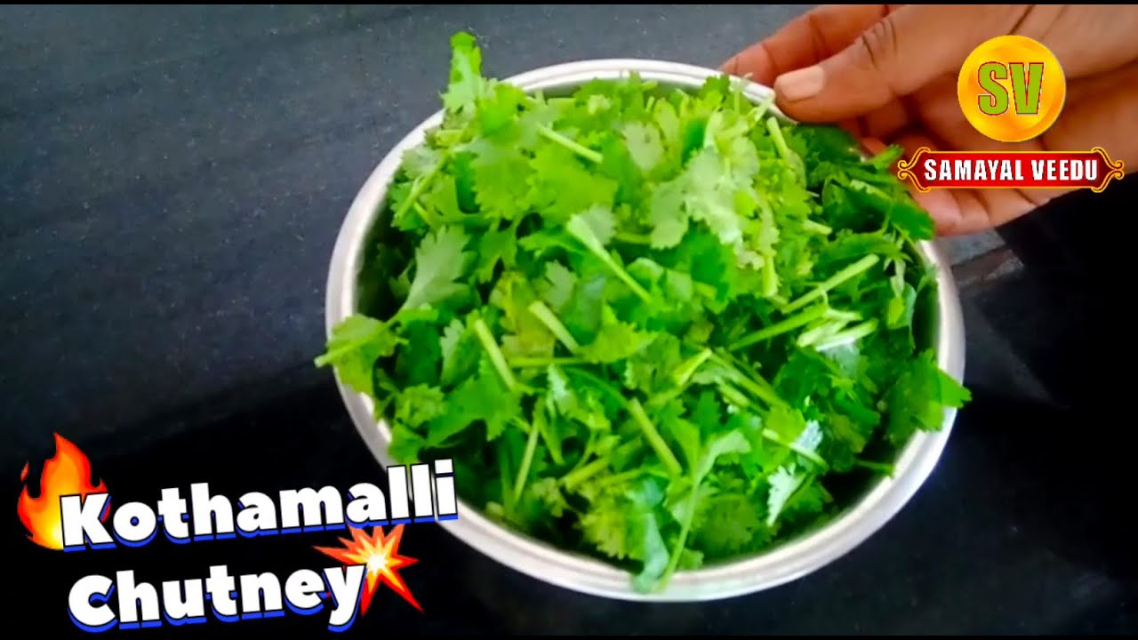 கொத்தமல்லி சட்னி || Kothamalli Chutney || in TAMIL - YouTube