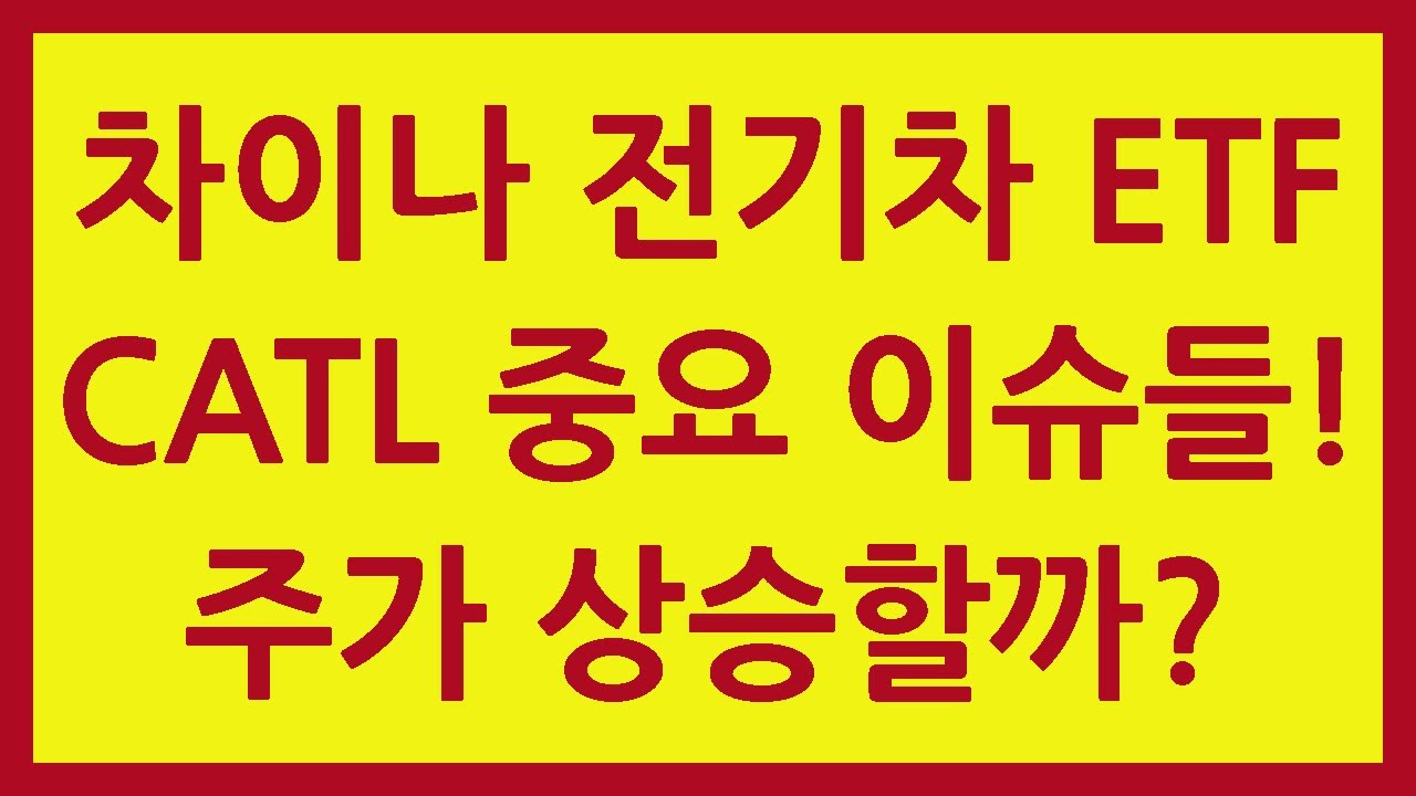 차이나 전기차 Solactive 주가 전망 타이거 Tiger Etf 레버리지 중국 2차전지 배터리 주식 장기 투자 장투 단타