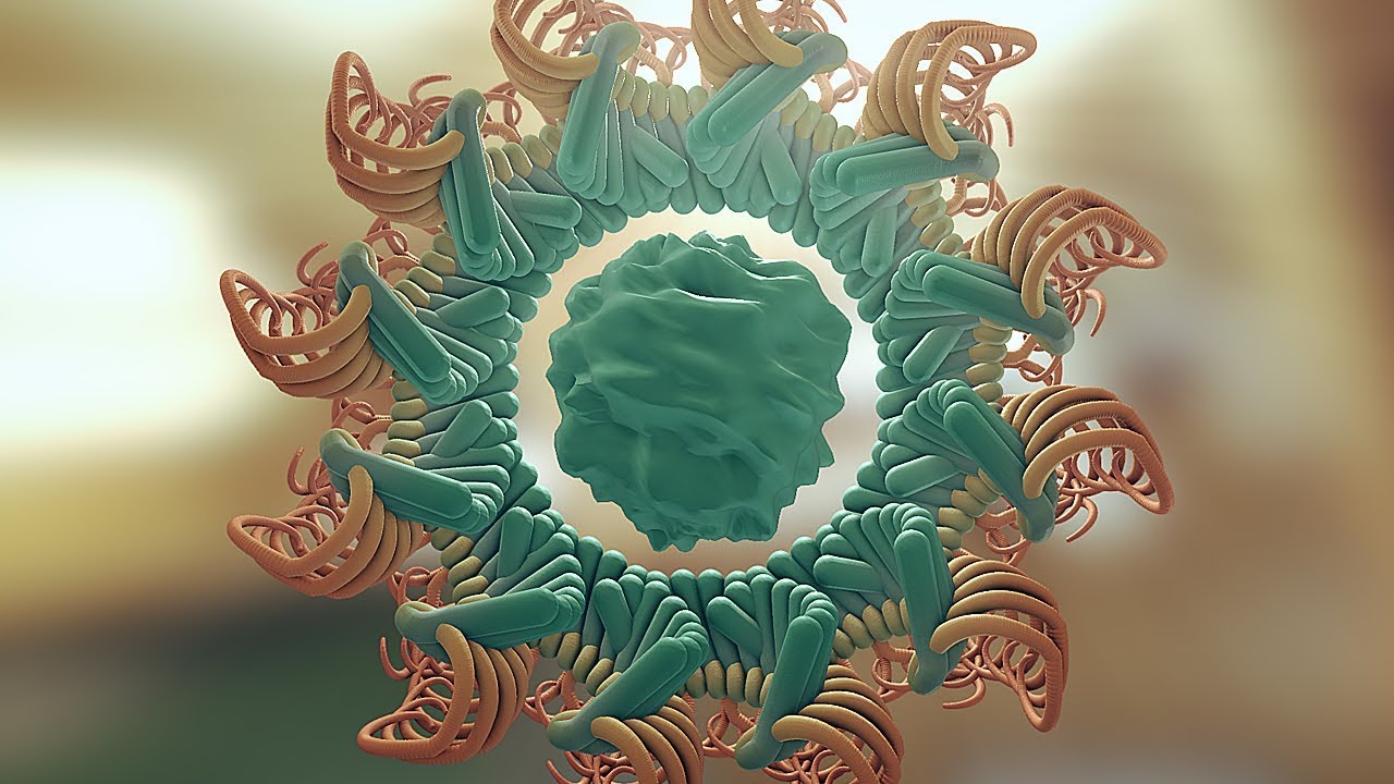 Mandala Mograph 11 | 3d Mandala Animation | CG Animated - YouTube