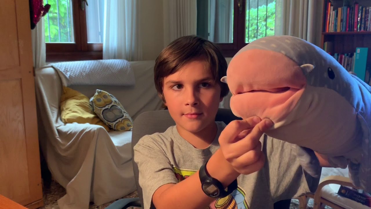 Autism Education With James - YouTube