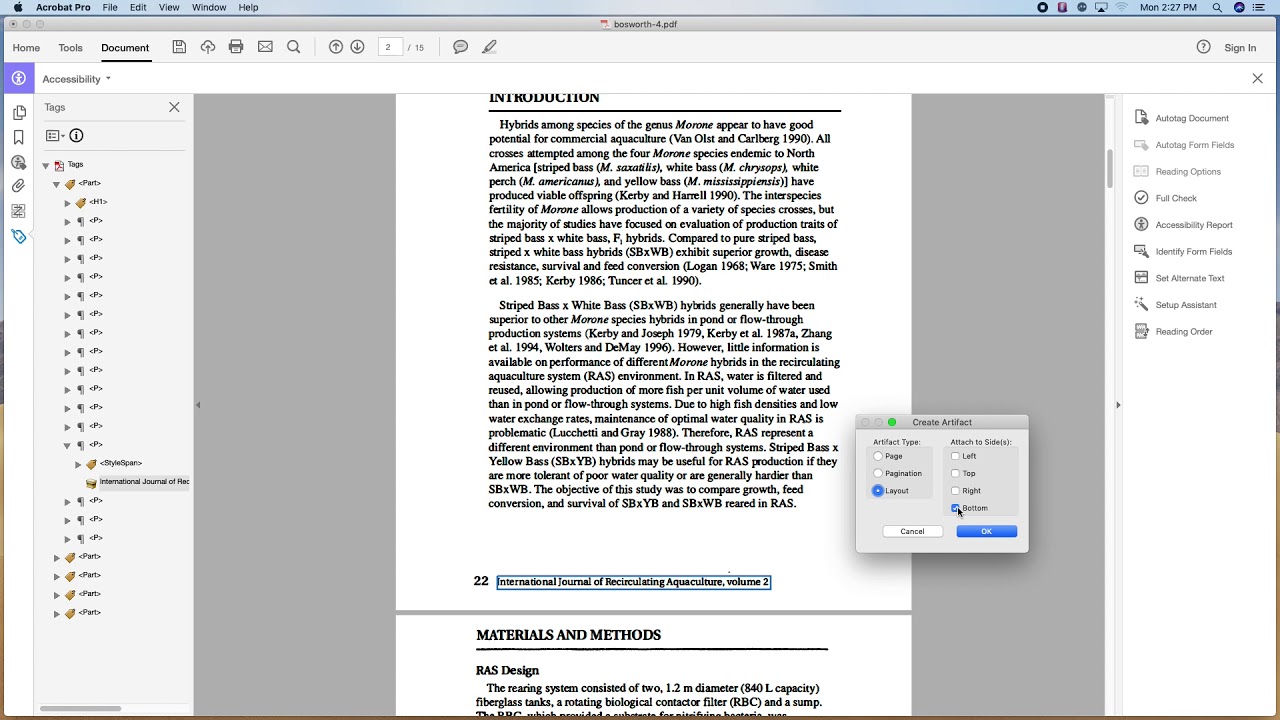 PDF Accessibility - Tagging Artifacts - YouTube