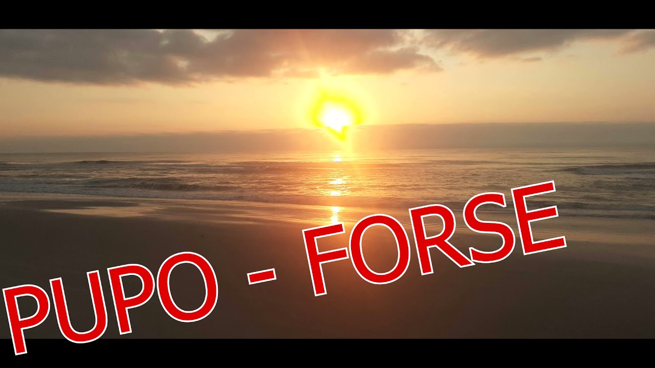 PUPO - FORSE - YouTube