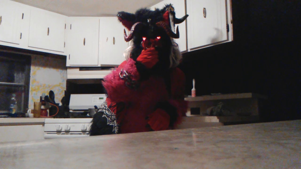 Diablo lobo being bored in his kitchen - YouTube