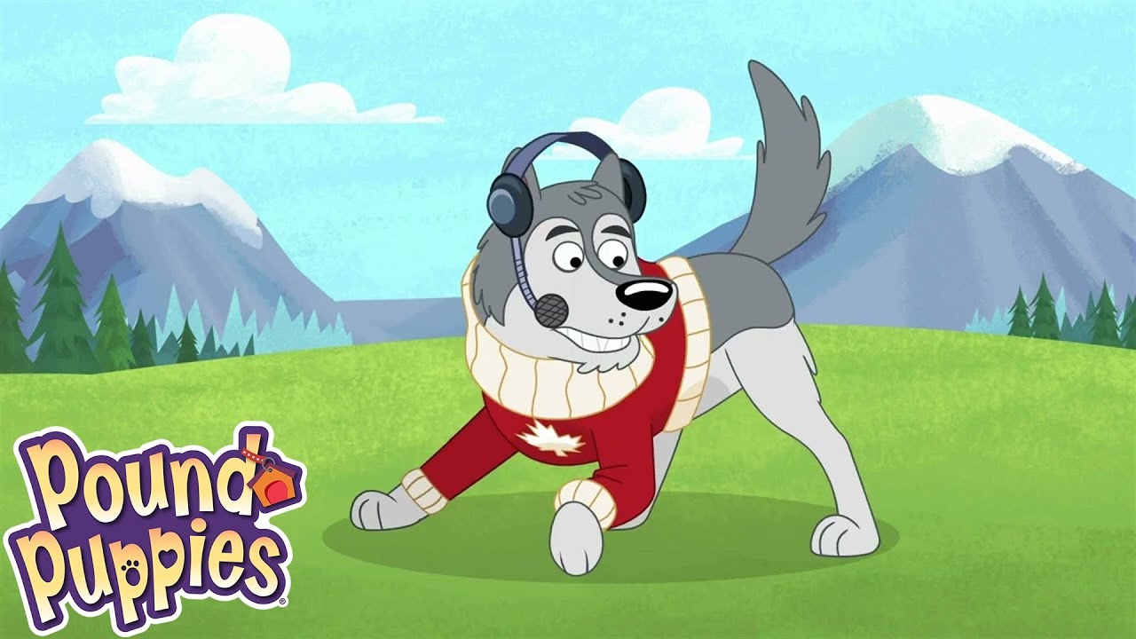 Pound Puppies | Homeward Pound | Season 1 | Pet Cartoon - YouTube