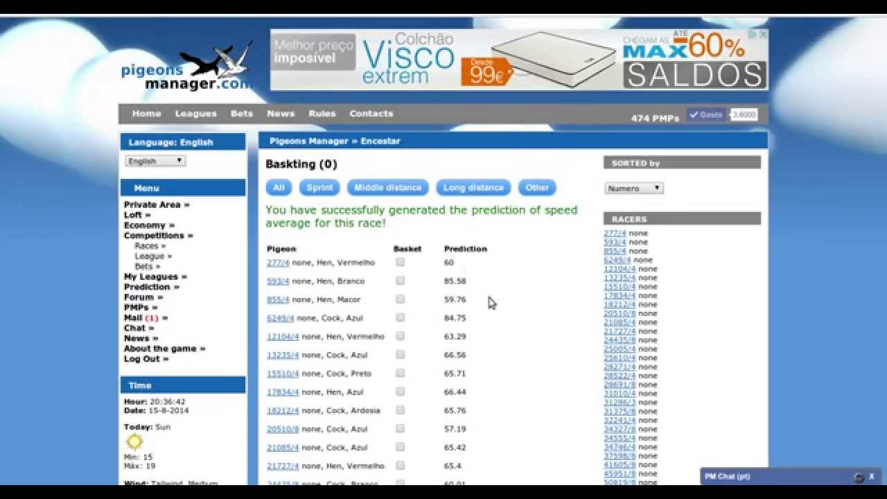 Pigeons Manager - How to use the race prediction feature - YouTube