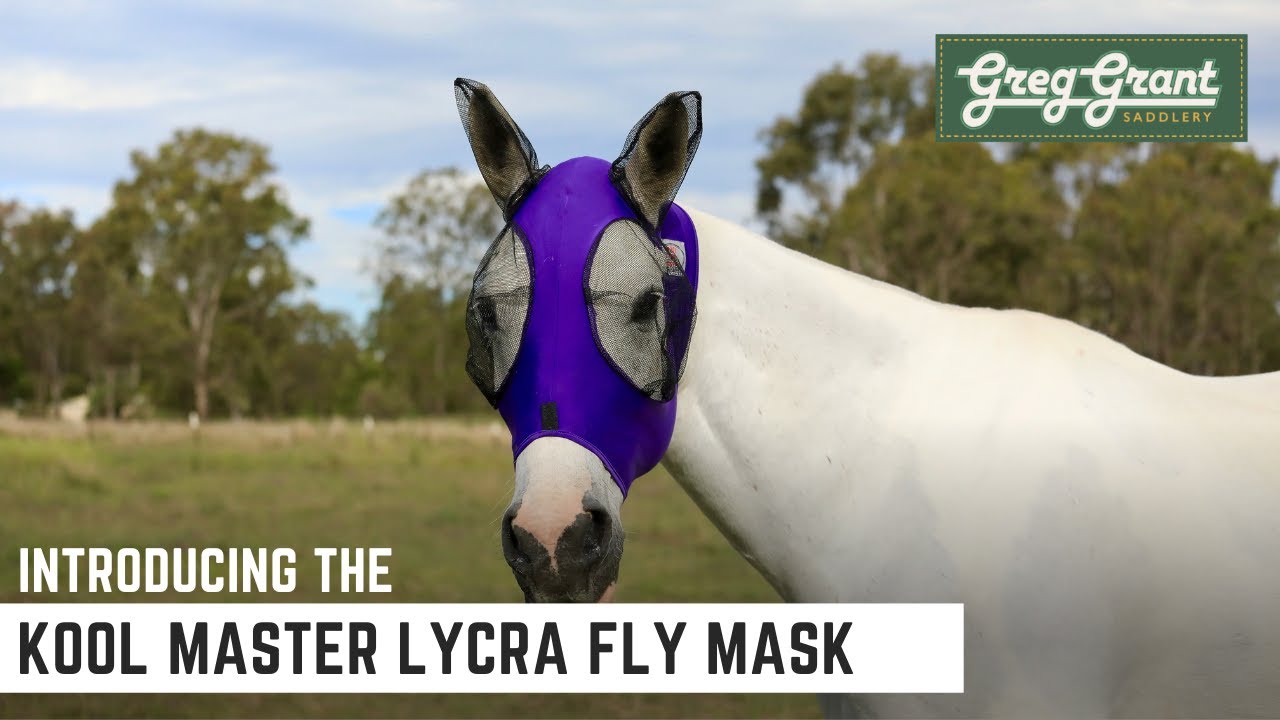 Introducing the Kool Master Lycra Fly Mask - Greg Grant Saddlery - YouTube