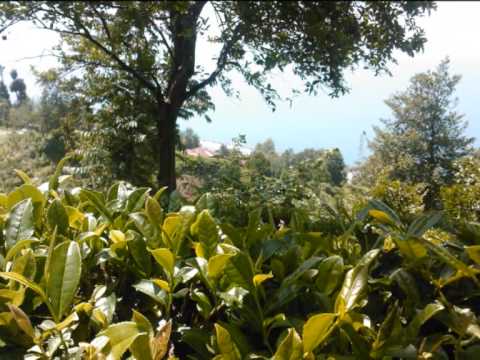 Karadeniz Turu