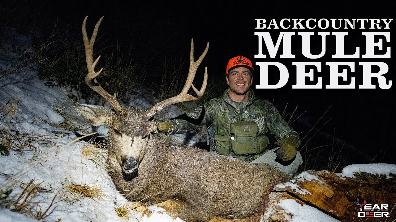 Backcountry Rifle Mule Deer Hunt | 4K FILM | Muley Freak - YouTube