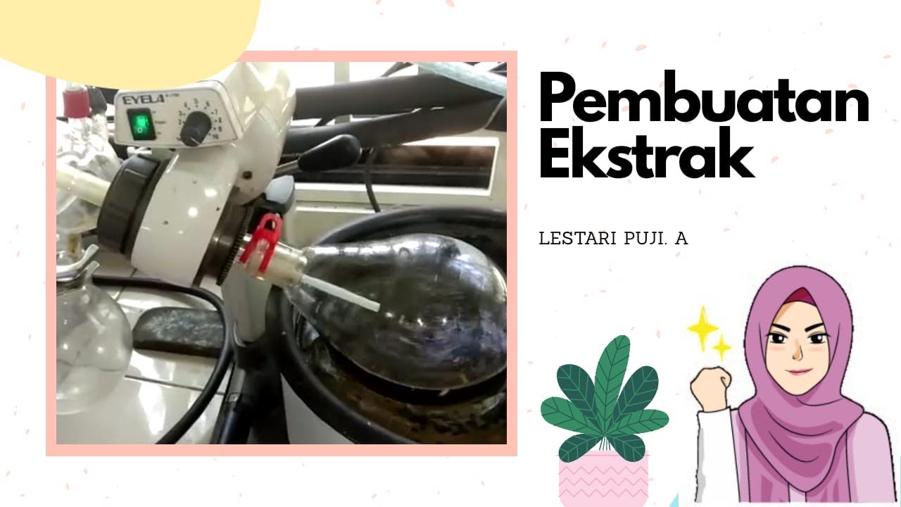PEMBUATAN EKSTRAK (metode Maserasi, sokletasi & refluks) - YouTube